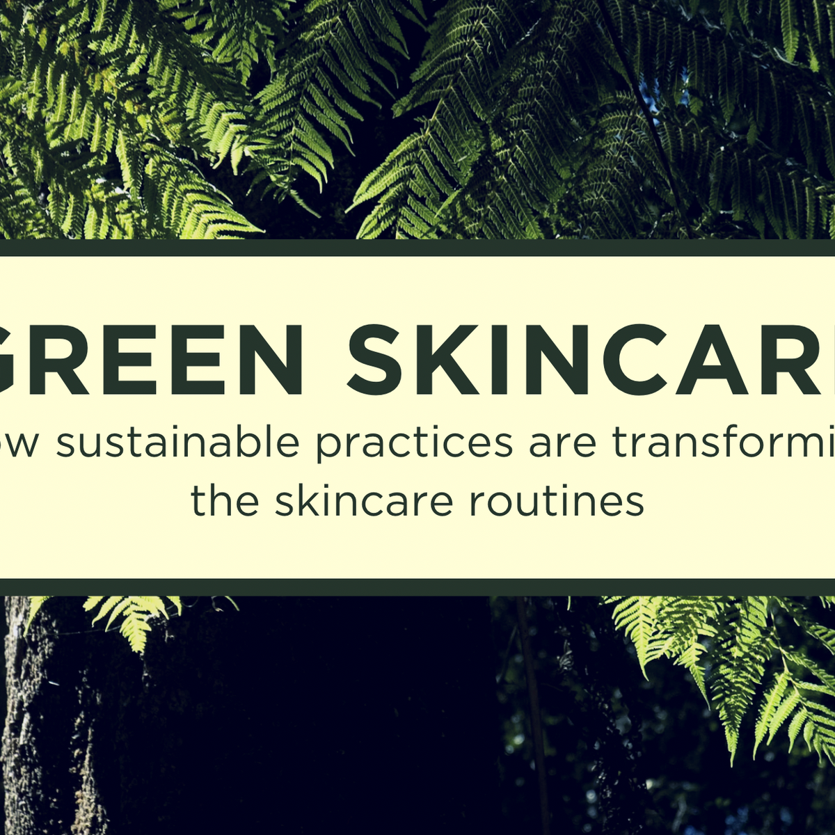 Green Skincare: How sustainable practices are transforming the skincar ...